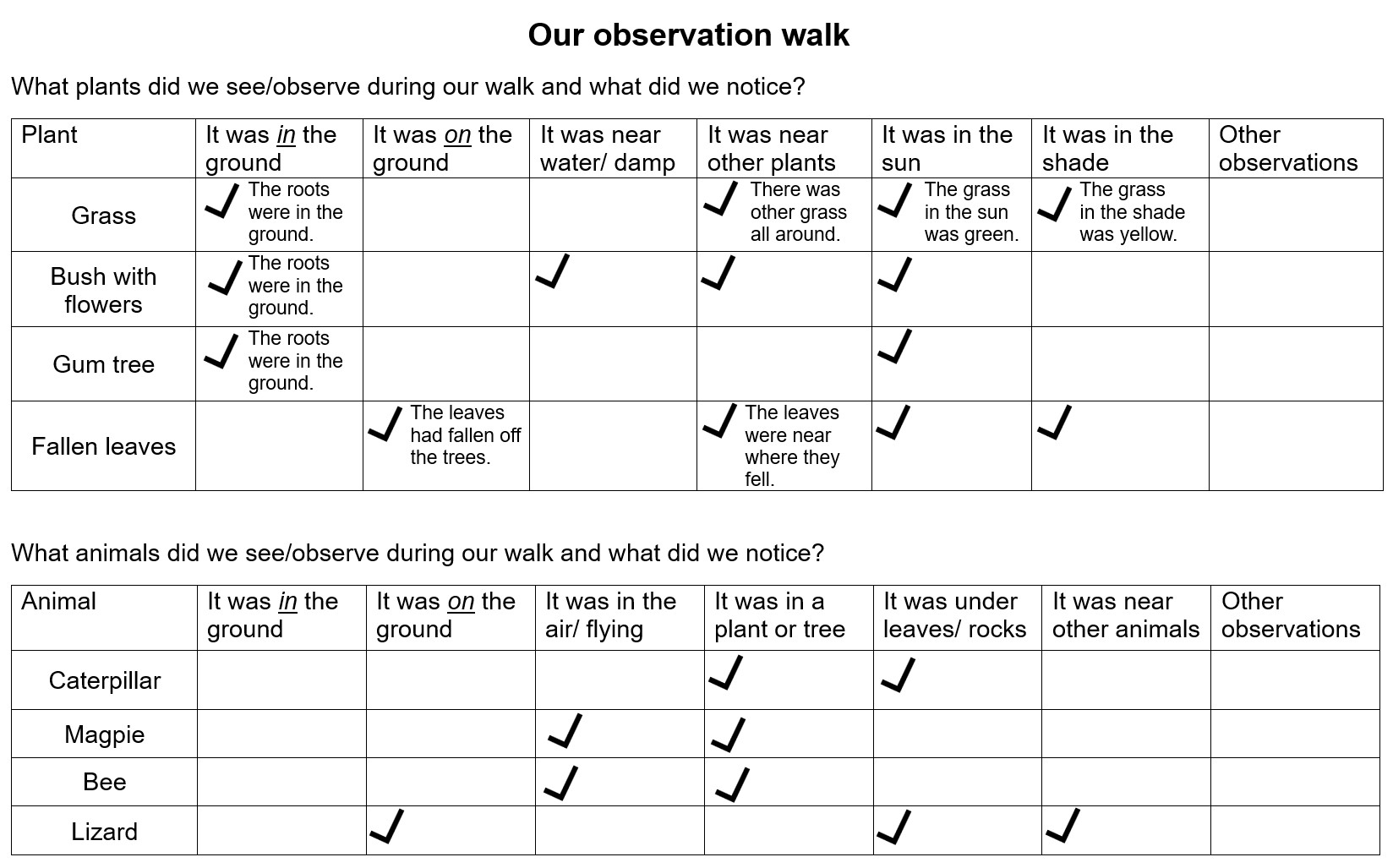 Lesson 1 • Living in the schoolyard | Primary Connections